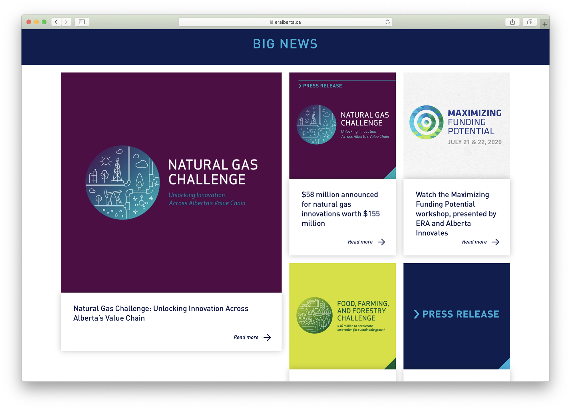 ERA Website Redesign - STICKS & STONES